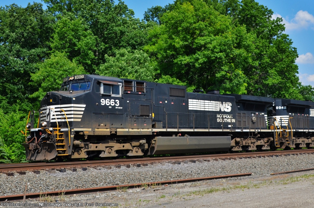 NS 9663 leads the charge.